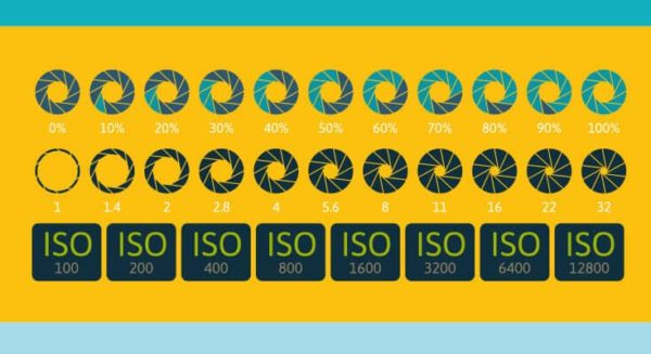 What is ISO? Digital Camera Settings Explained