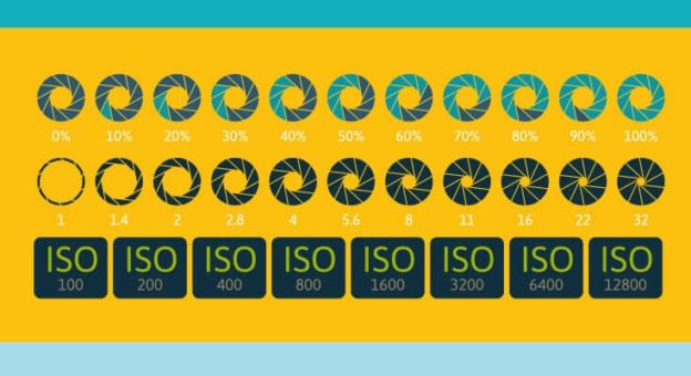 What is ISO? Digital Camera Settings Explained