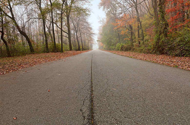 5 Basic Compositional Rules in Photography