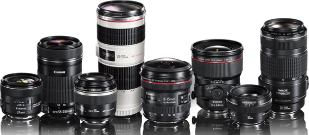 6 Types of Camera Lenses & How To Use Them