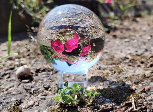 A Complete Guide to Lensball Photography
