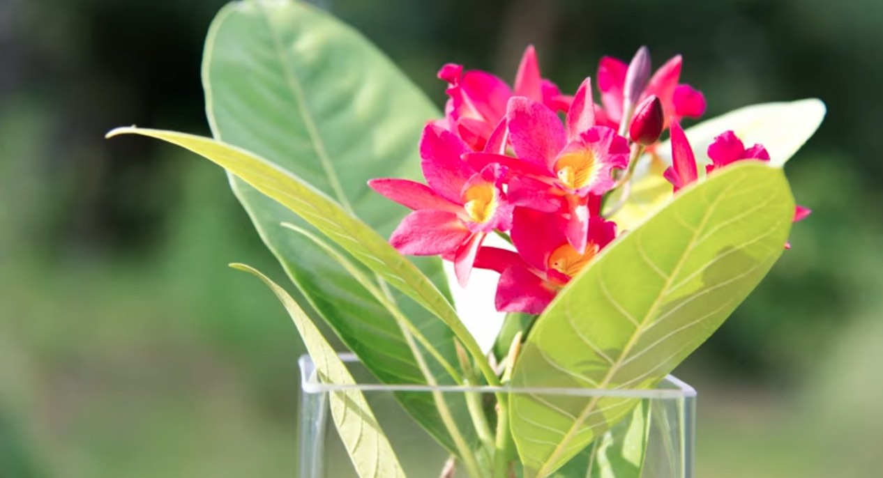 How Do You Know if You Have a Correct Exposure?