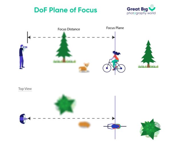 Depth of Field: What is it and How to Use it?