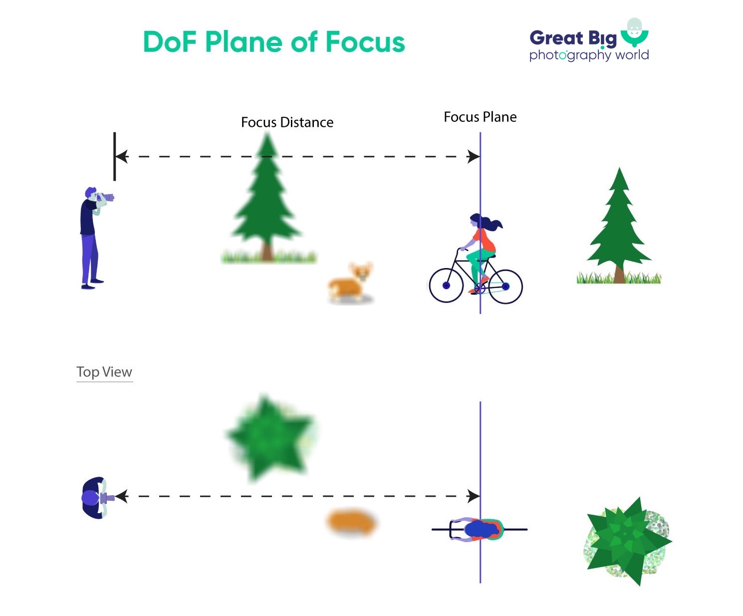 Depth of Field: What is it and How to Use it?
