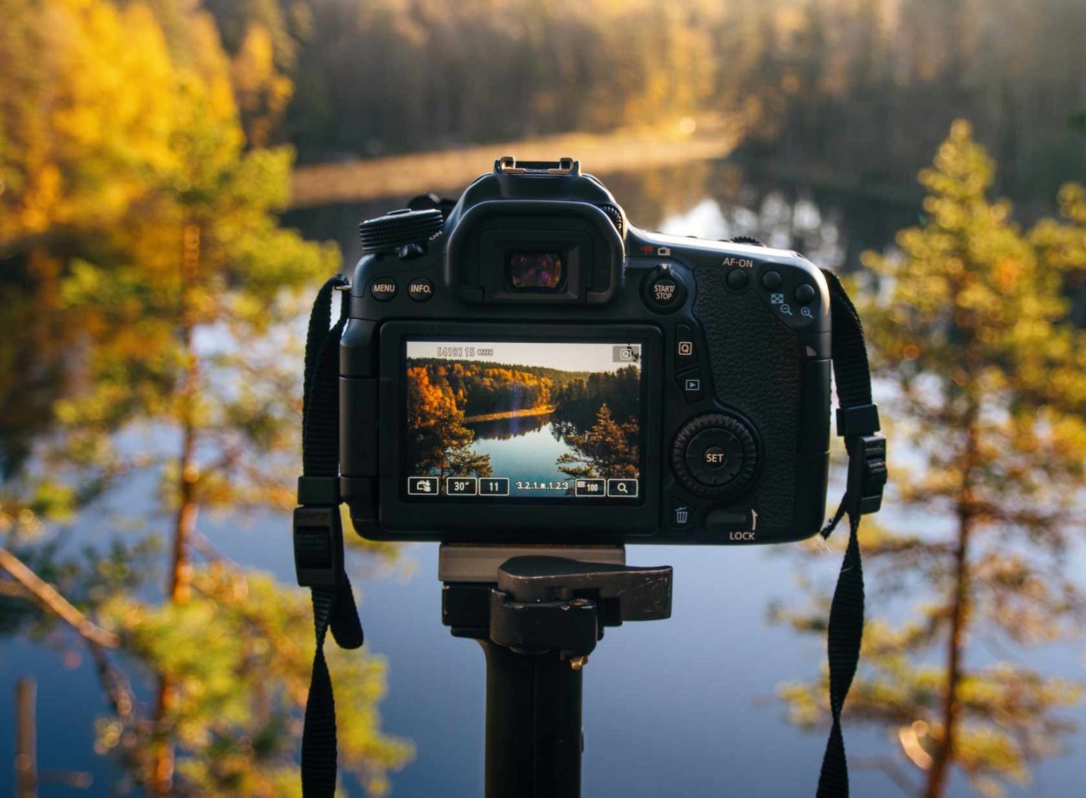 What is a Viewfinder and How is it Used?