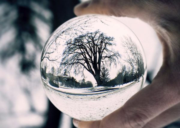 A Complete Guide to Lensball Photography