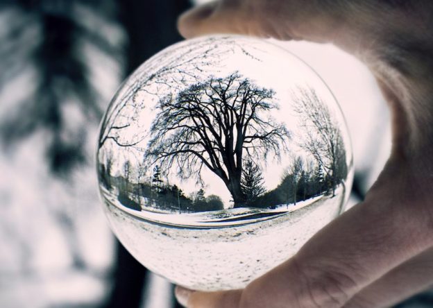 Lensball Photography: Techniques, Tips, and Best Lensballs