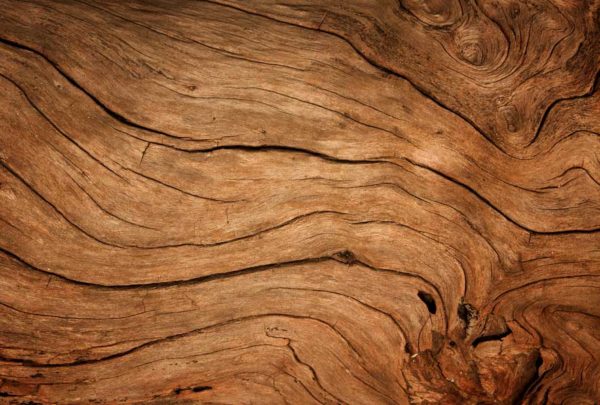 How to Capture Texture in Photography