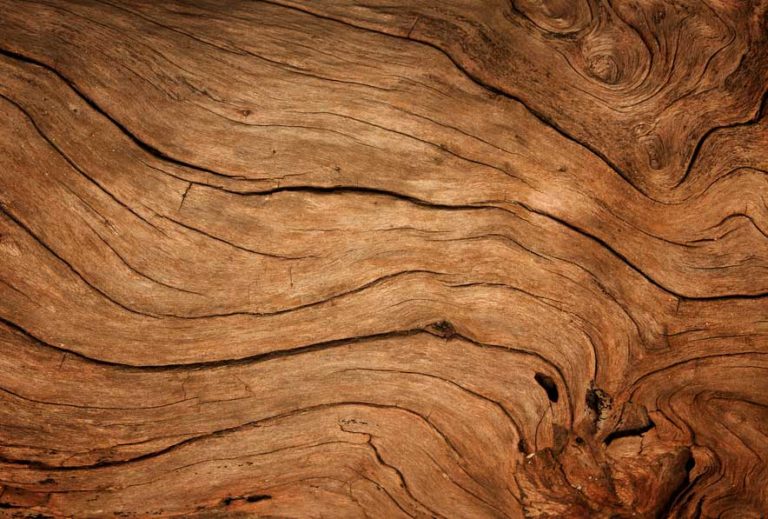 How to Capture Texture in Photography