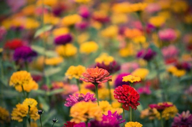 The Circle of Confusion: What it is and How it Affects Your Photos