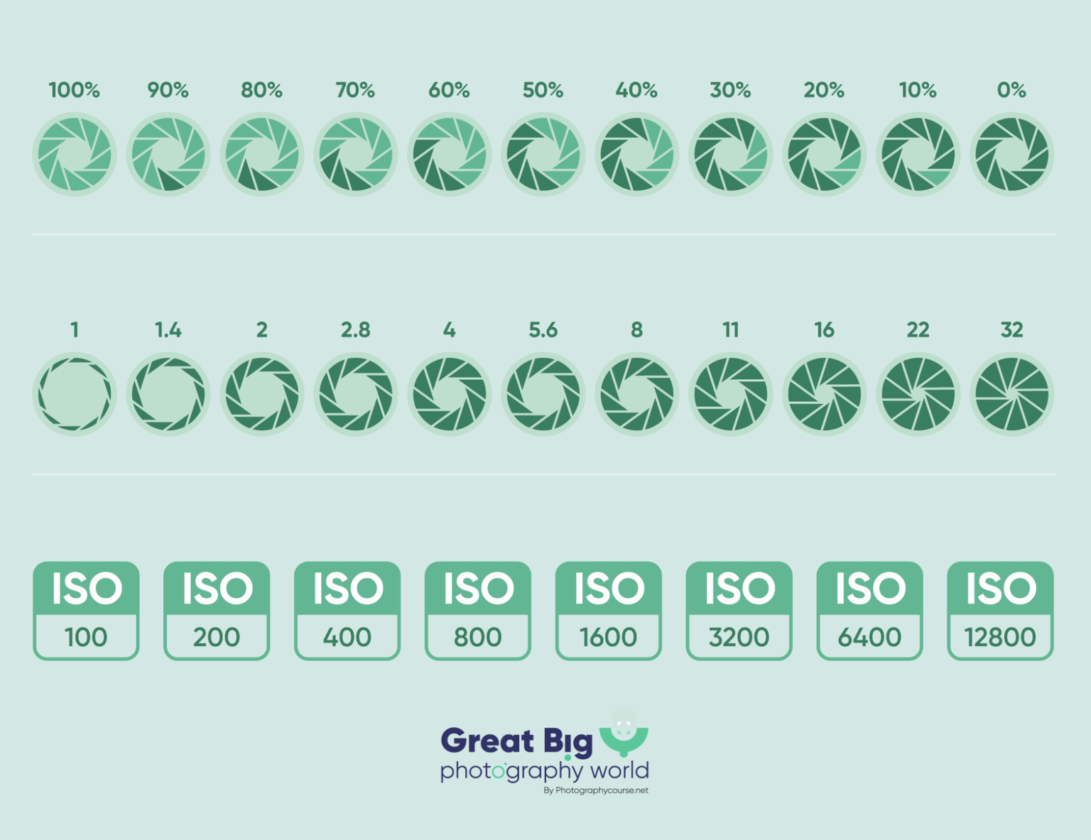 What is ISO? Digital Camera Settings Explained