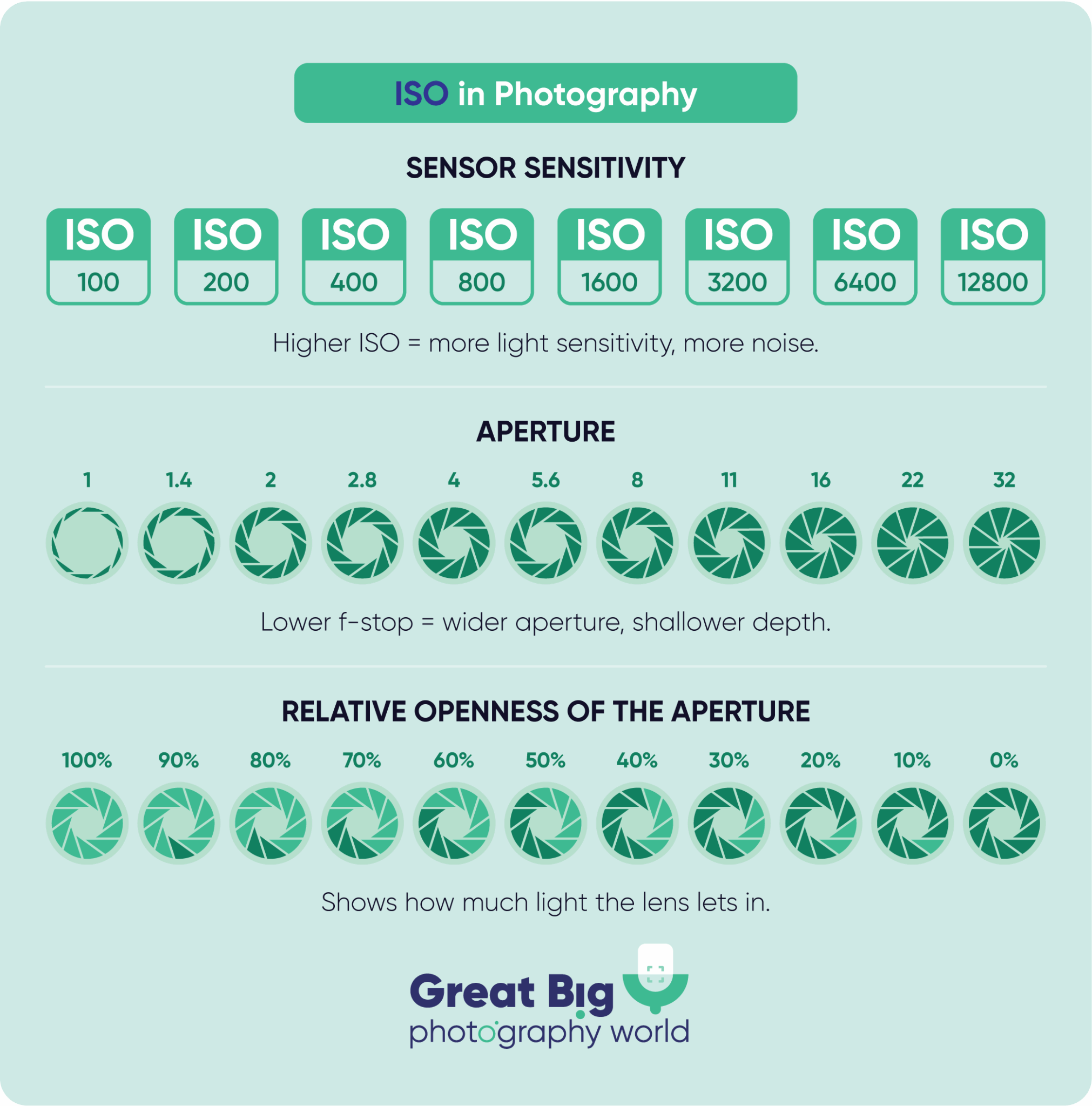 What is ISO? Digital Camera Settings Explained