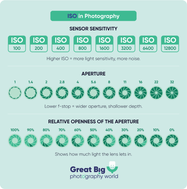 What is ISO? Digital Camera Settings Explained
