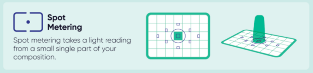 Spot Metering - A Beginner’s Guide on How to Use it
