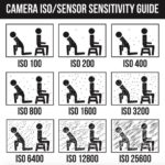 What is ISO? Digital Camera Settings Explained