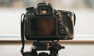 What is ISO? Digital Camera Settings Explained