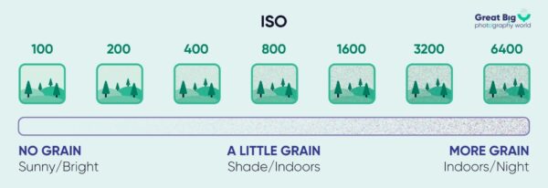 What is ISO? Digital Camera Settings Explained
