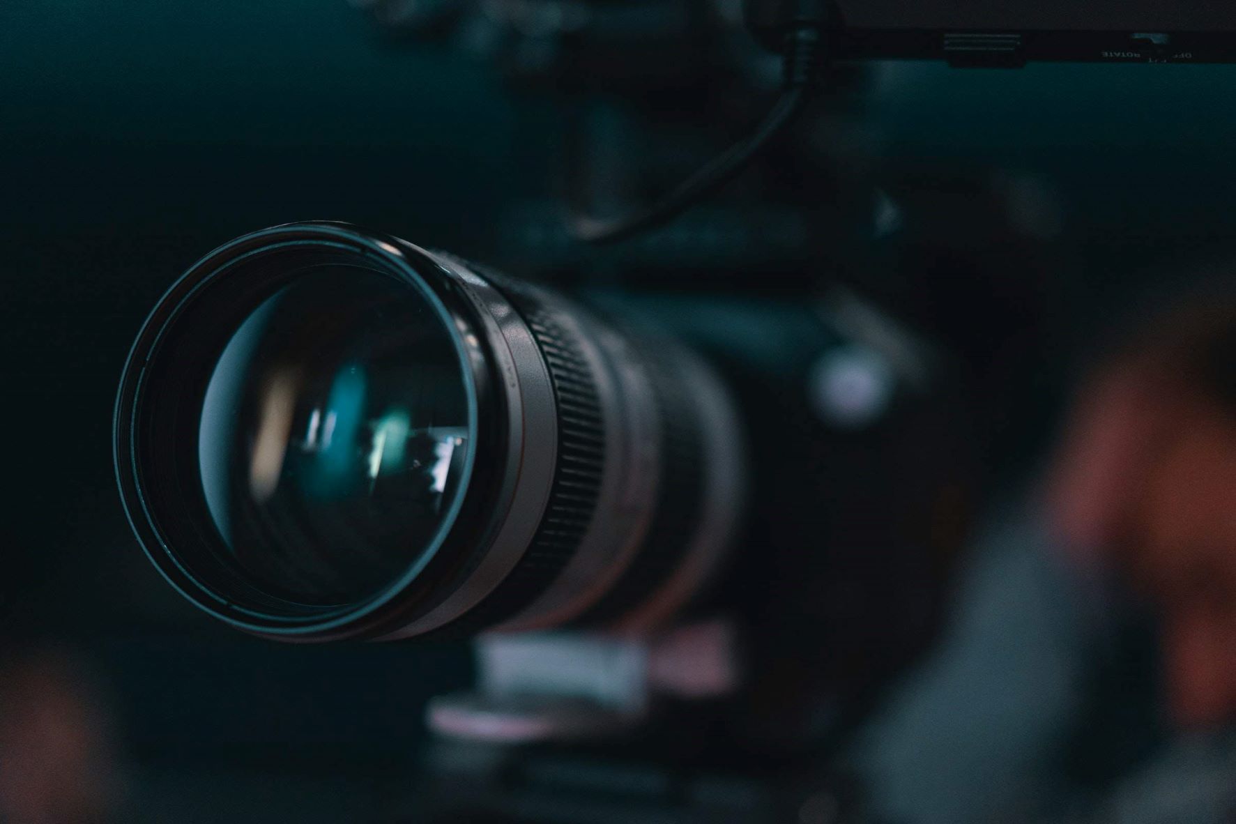 19 Macro Photography Ideas For Incredible Shots