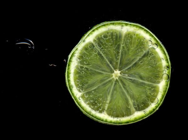19 Macro Photography Ideas For Incredible Shots