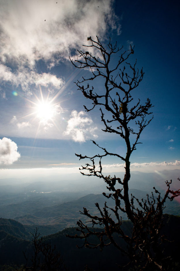 Contrast in Photography - How to Make the Best Use of It