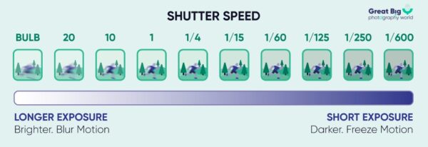 What is Shutter Speed in Photography? Basic Guide for Beginners