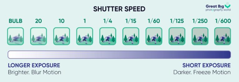 What is Shutter Speed in Photography? Basic Guide for Beginners