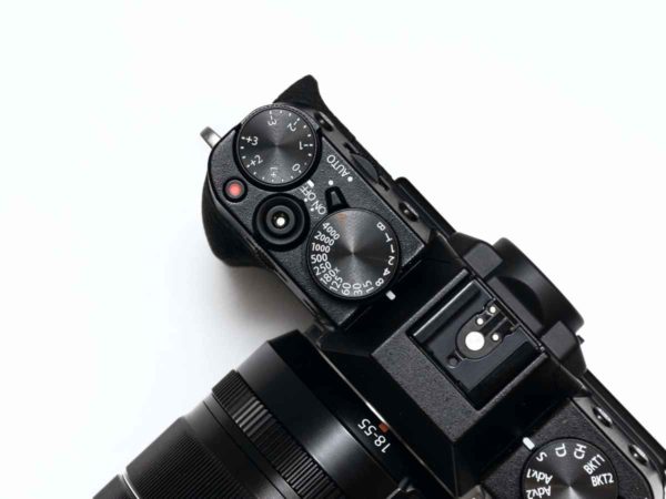 The Best Camera Settings for Macro Photography