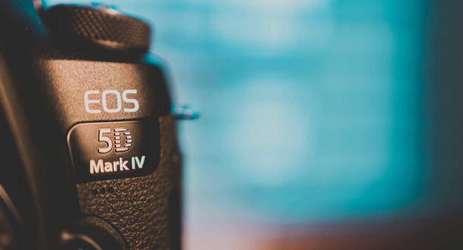 Macro Photography Equipment: 11 Essential Gear Items