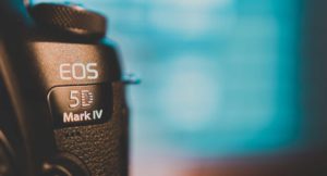 Macro Photography Equipment: 11 Essential Gear Items