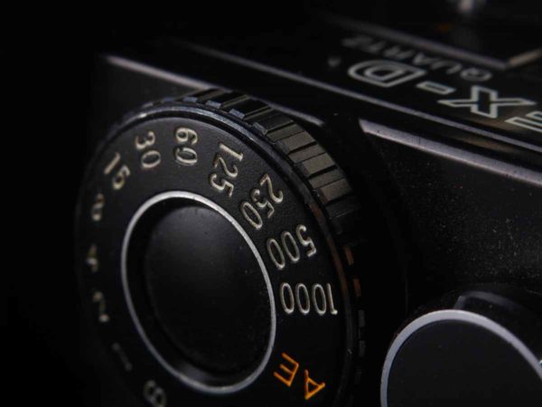 The Best Camera Settings for Macro Photography