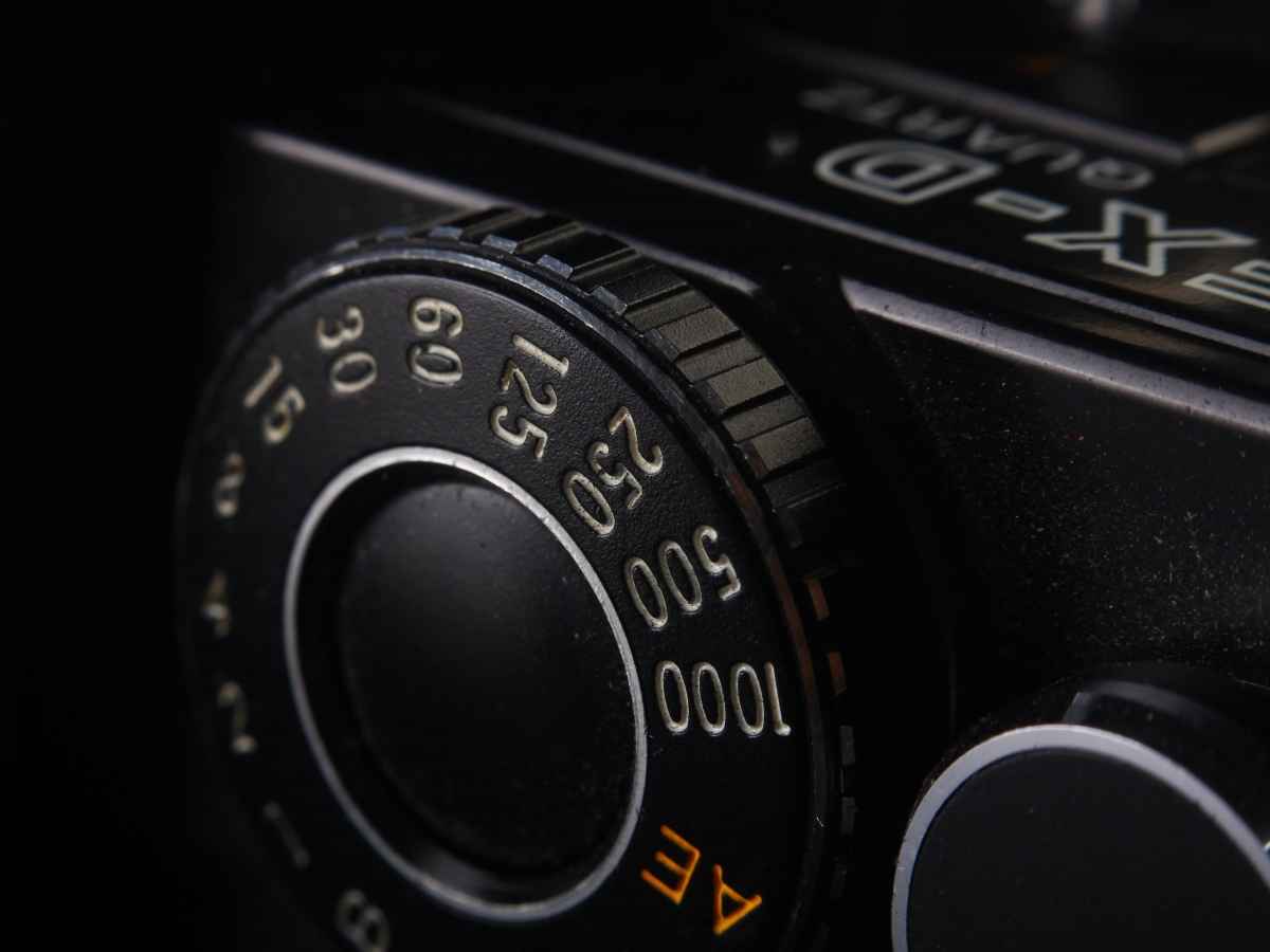 The Best Camera Settings for Macro Photography