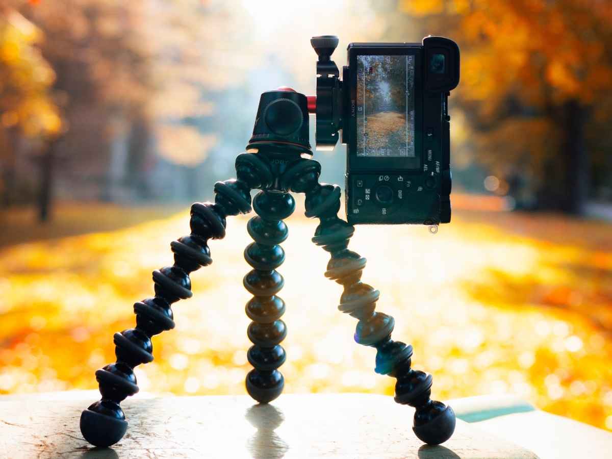 The Best Camera Settings for Macro Photography