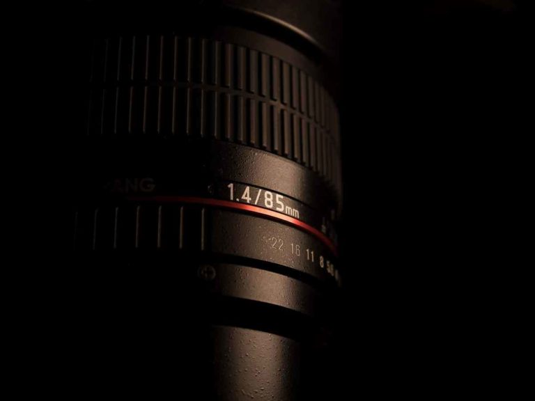 The Best Camera Settings for Macro Photography