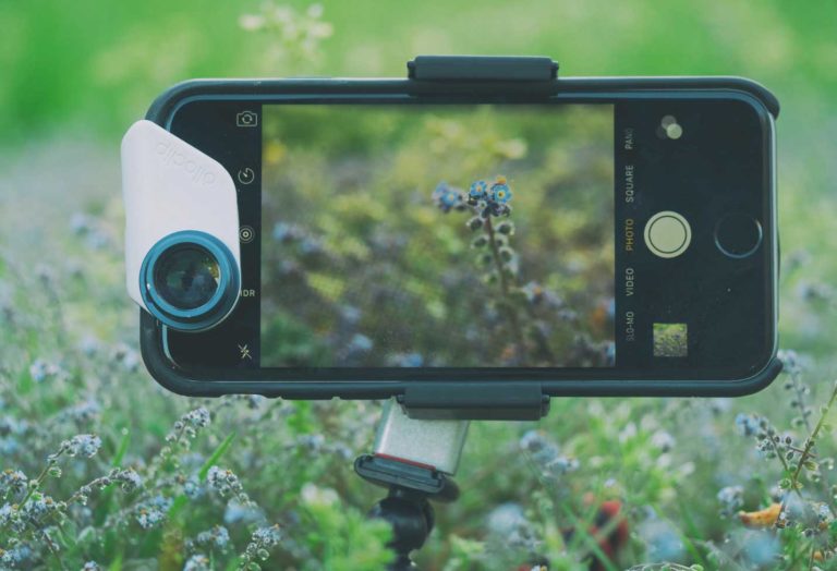 Macro Photography Equipment: 11 Essential Gear Items