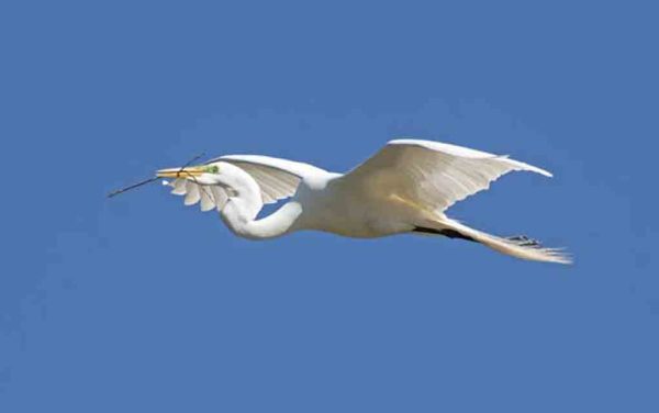 Tiff vs Jpeg - Where and When to Use Them