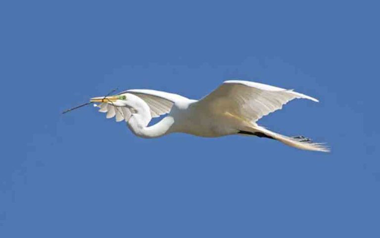 Tiff vs Jpeg - Where and When to Use Them