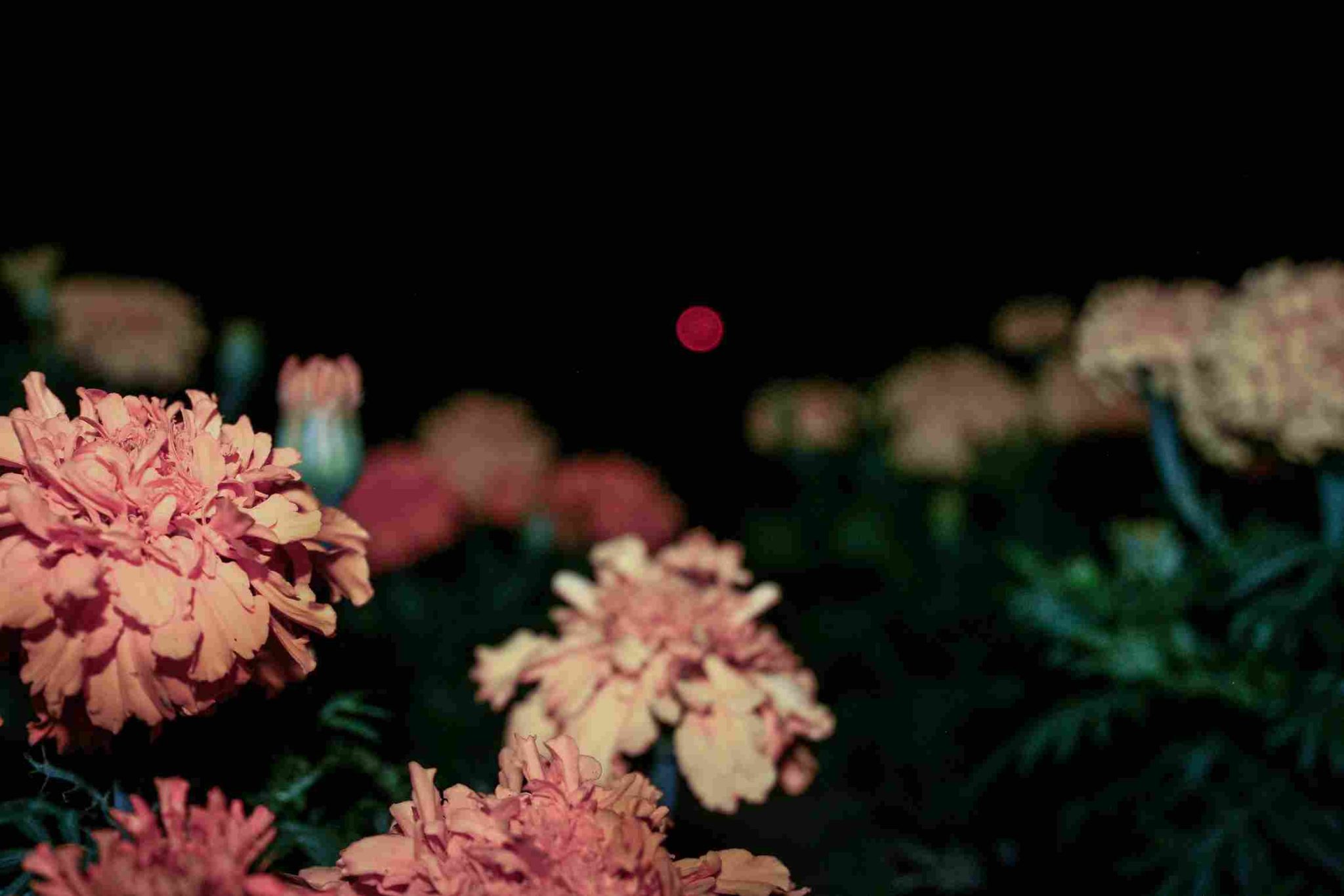 Patterns in Photography: A Complete Guide