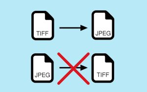Tiff vs Jpeg - Where and When to Use Them