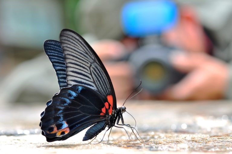 27 Famous Macro Photographers to Follow