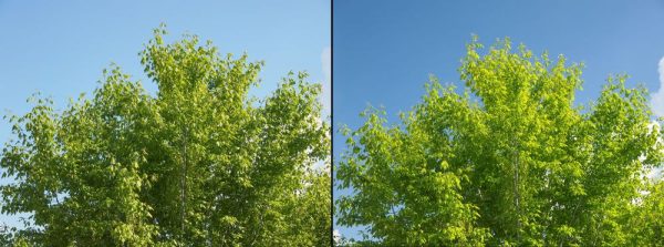 What is a CPL Filter and How to Use It