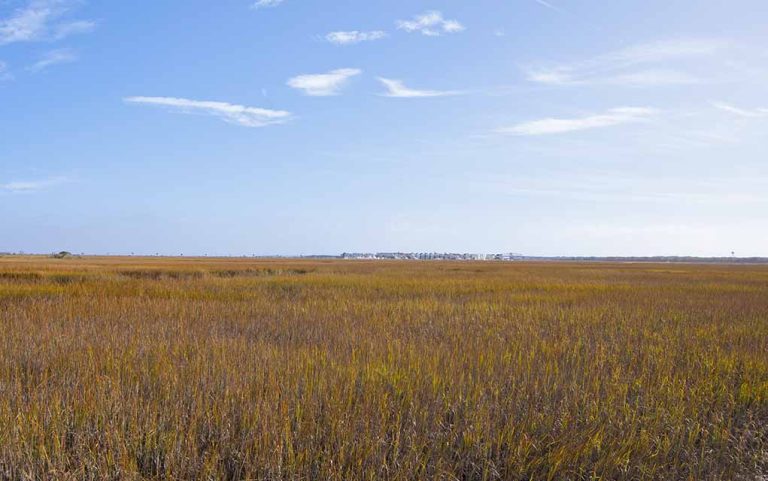 What is a CPL Filter and How to Use It