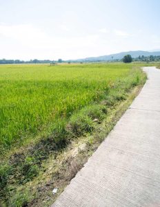 How to Use Strong Lines in Photography Composition