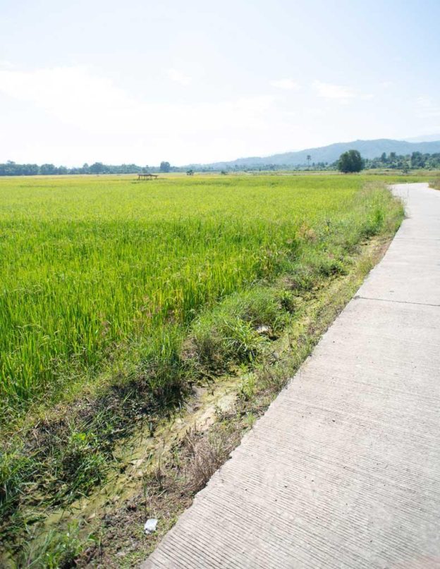 How to Use Strong Lines in Photography Composition