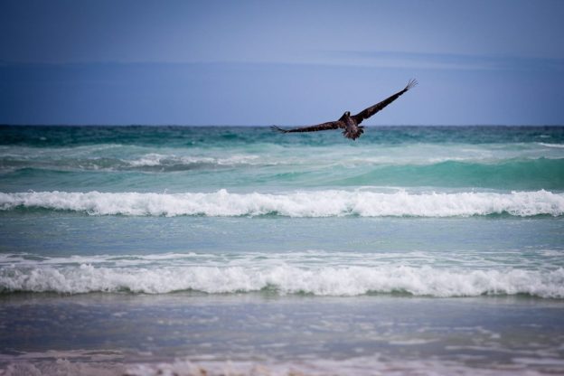 How to Do Seascape Photography Like a Pro