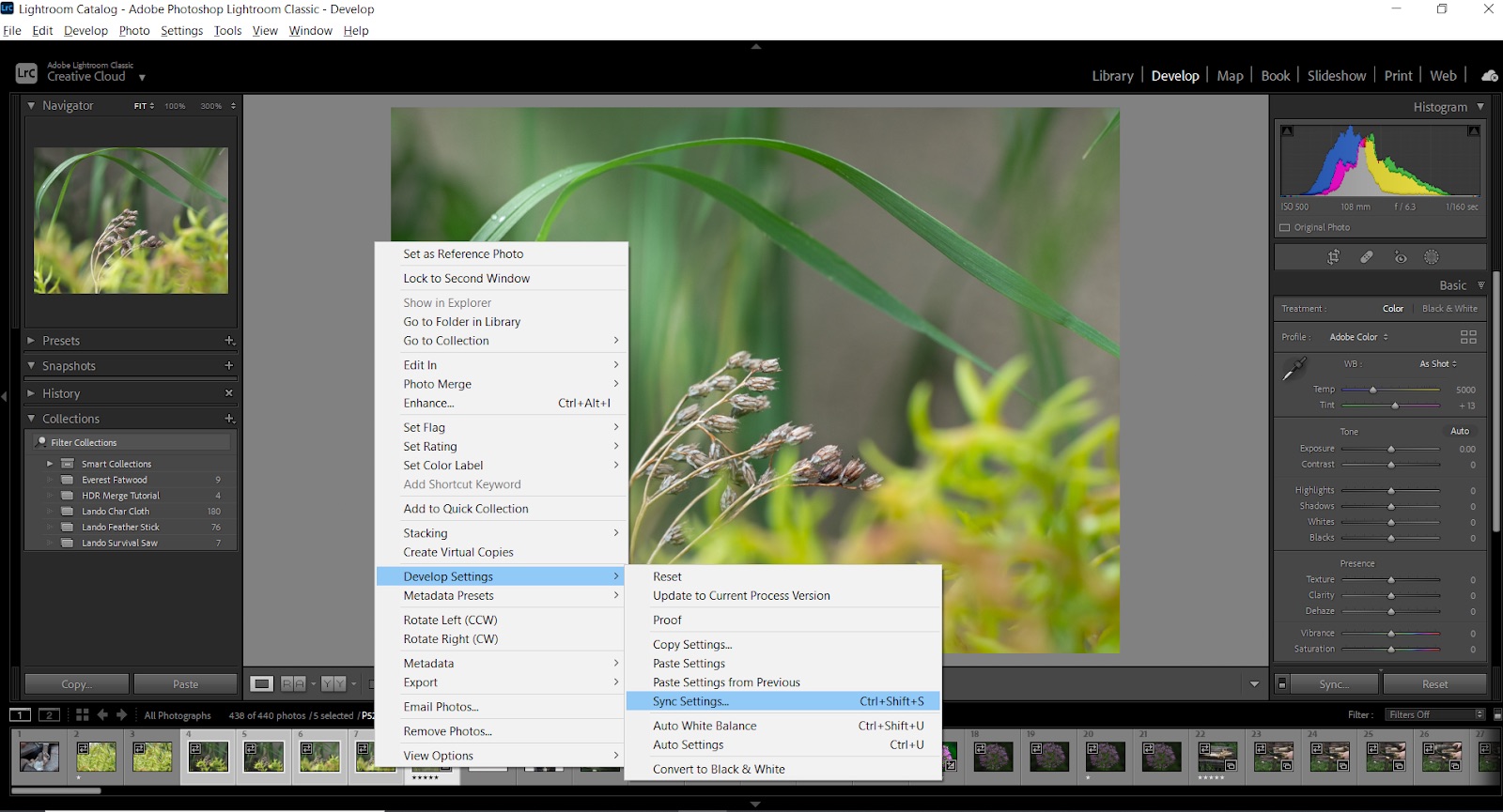 How to Adjust the White Balance in Lightroom