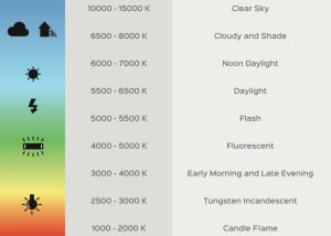How to Adjust the White Balance in Lightroom