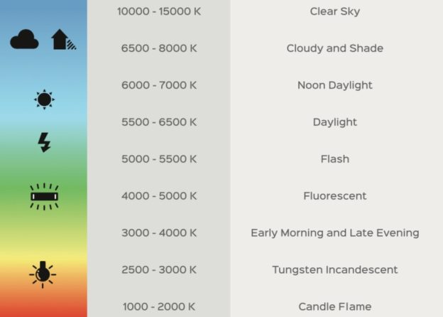 How to Adjust the White Balance in Lightroom