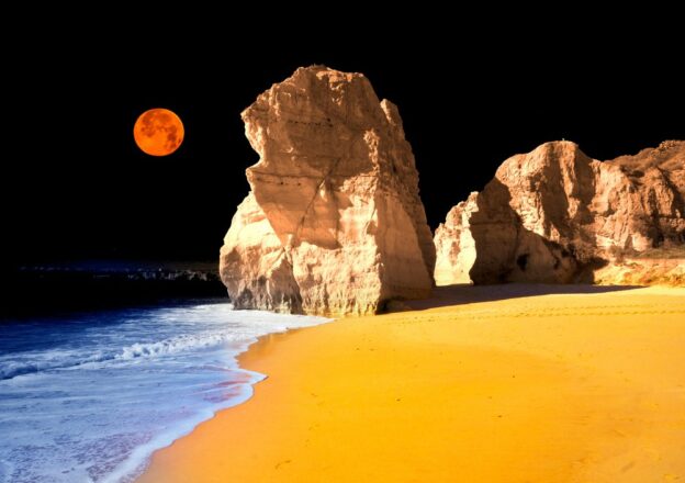 Infrared Photography 101 - All You Need to Know