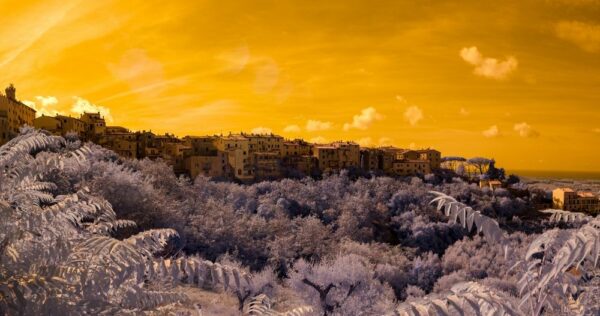 Infrared Photography 101 - All You Need to Know