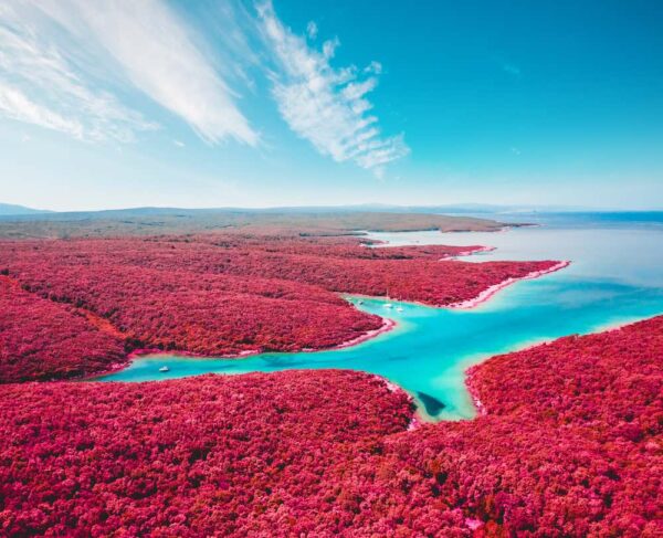 Infrared Photography 101 - All You Need to Know